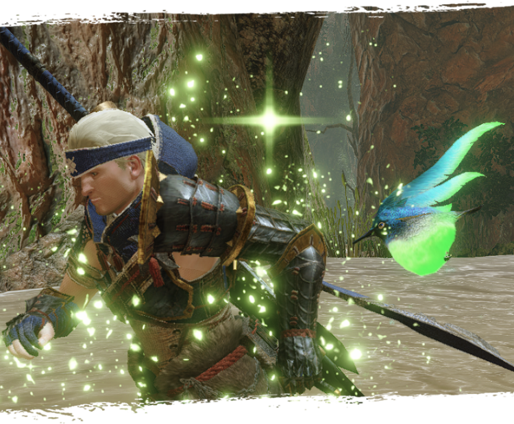 Endemic Life Buffs and Debuffs in Monster Hunter Rise