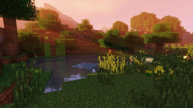 Minecraft: Difference Between Shaders and Texture Packs