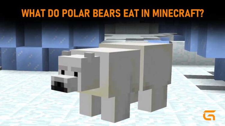 What Do Polar Bears Eat In Minecraft? - Animal Breeding Tips