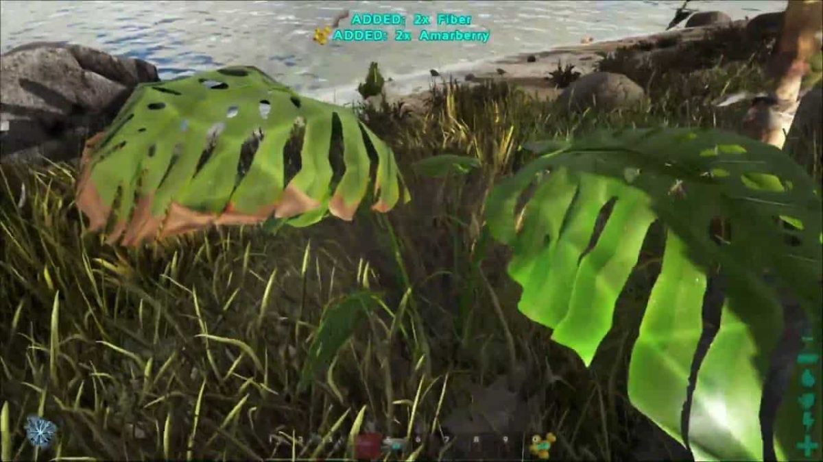 How to Make Narcotics in Ark: Survival Evolved