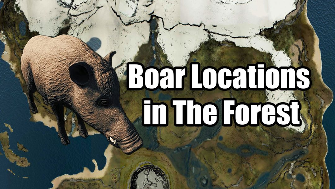 Where to Find Boar Locations in The Forest