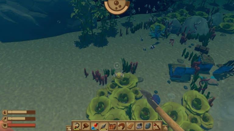 How to Get Eggs in Raft