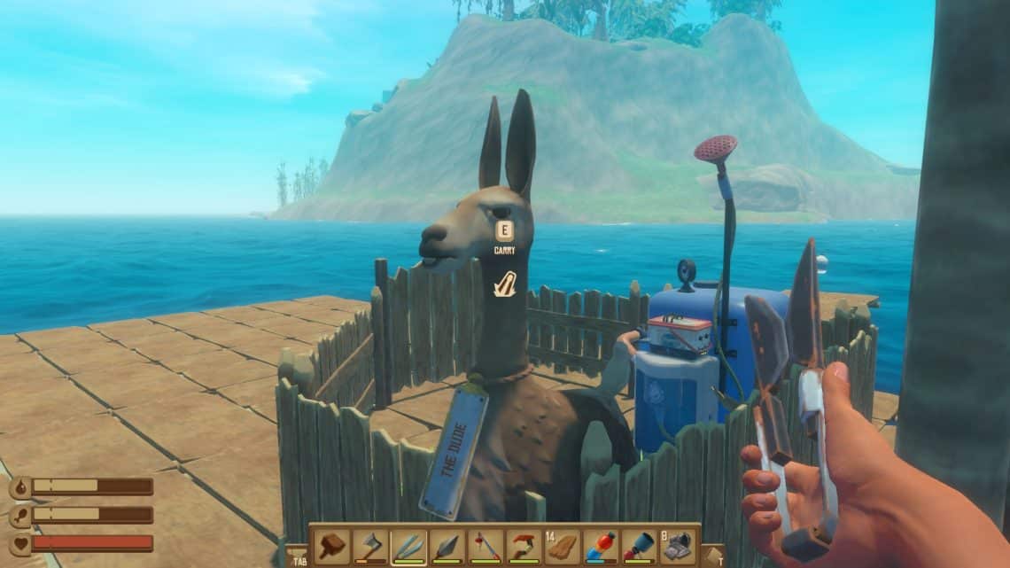 Raft: How to get Wool