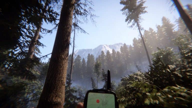 Best Base Locations In The Forest - Gamezo