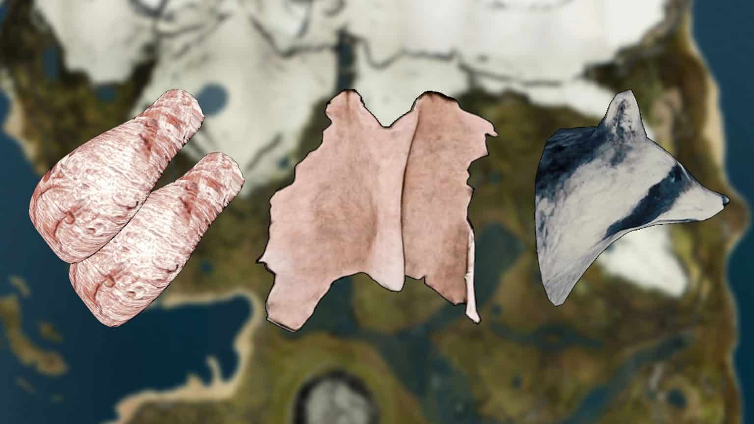 Where to Find Raccoon Locations in The Forest