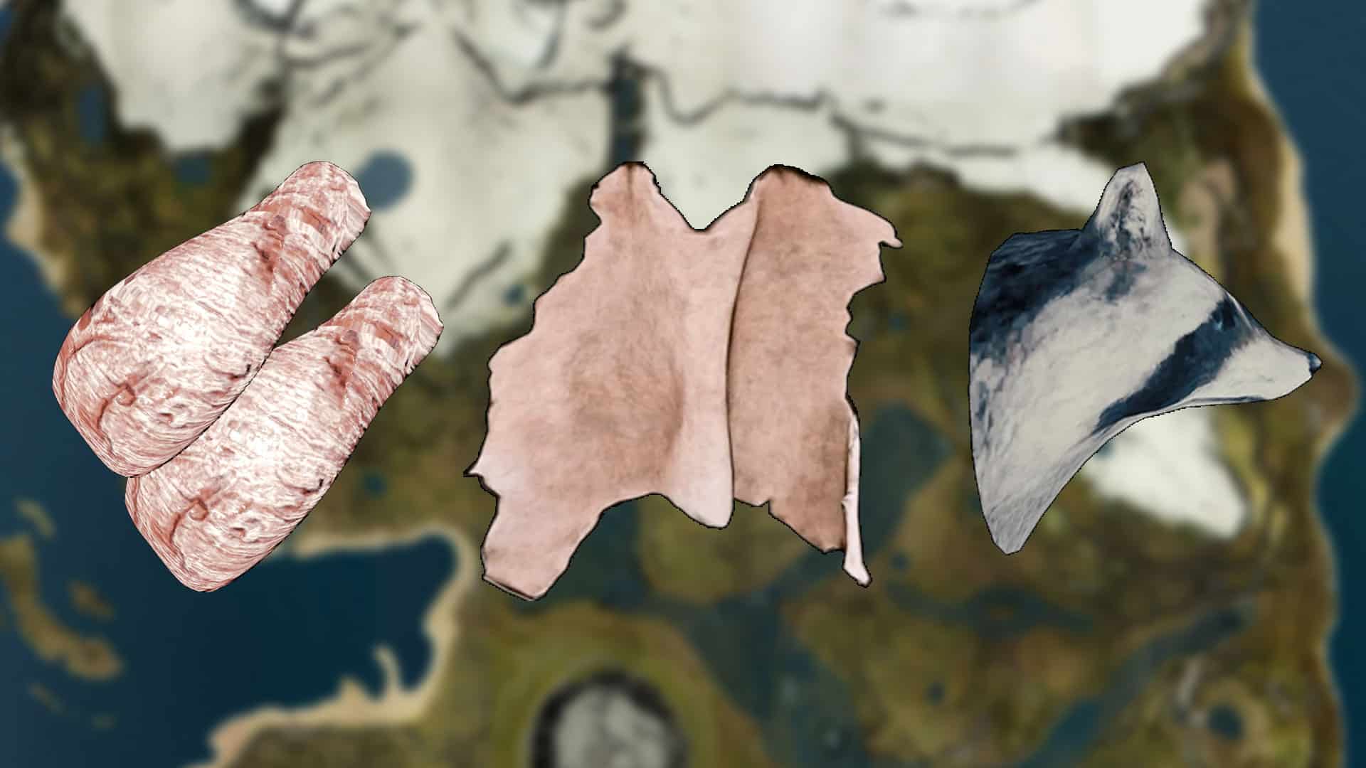 Where to Find Raccoon Locations in The Forest