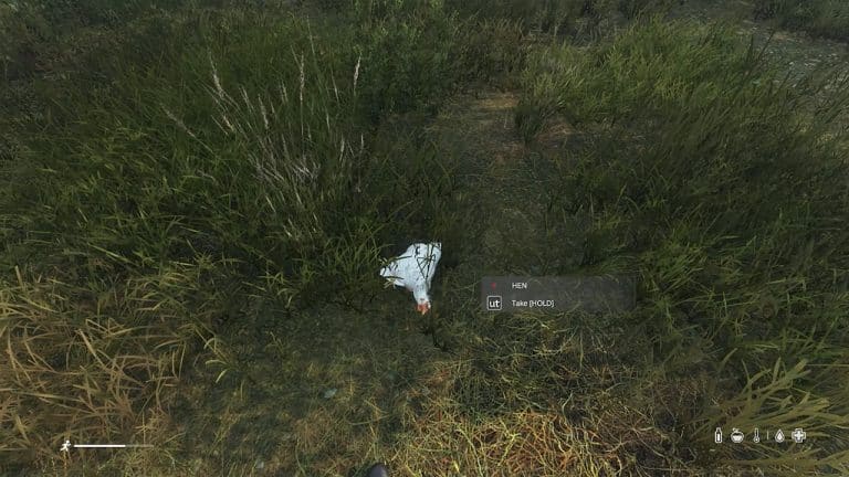 DayZ: How to Find Food