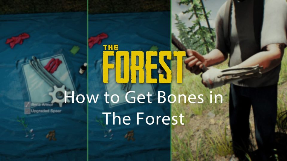 How to Get Bones in The Forest
