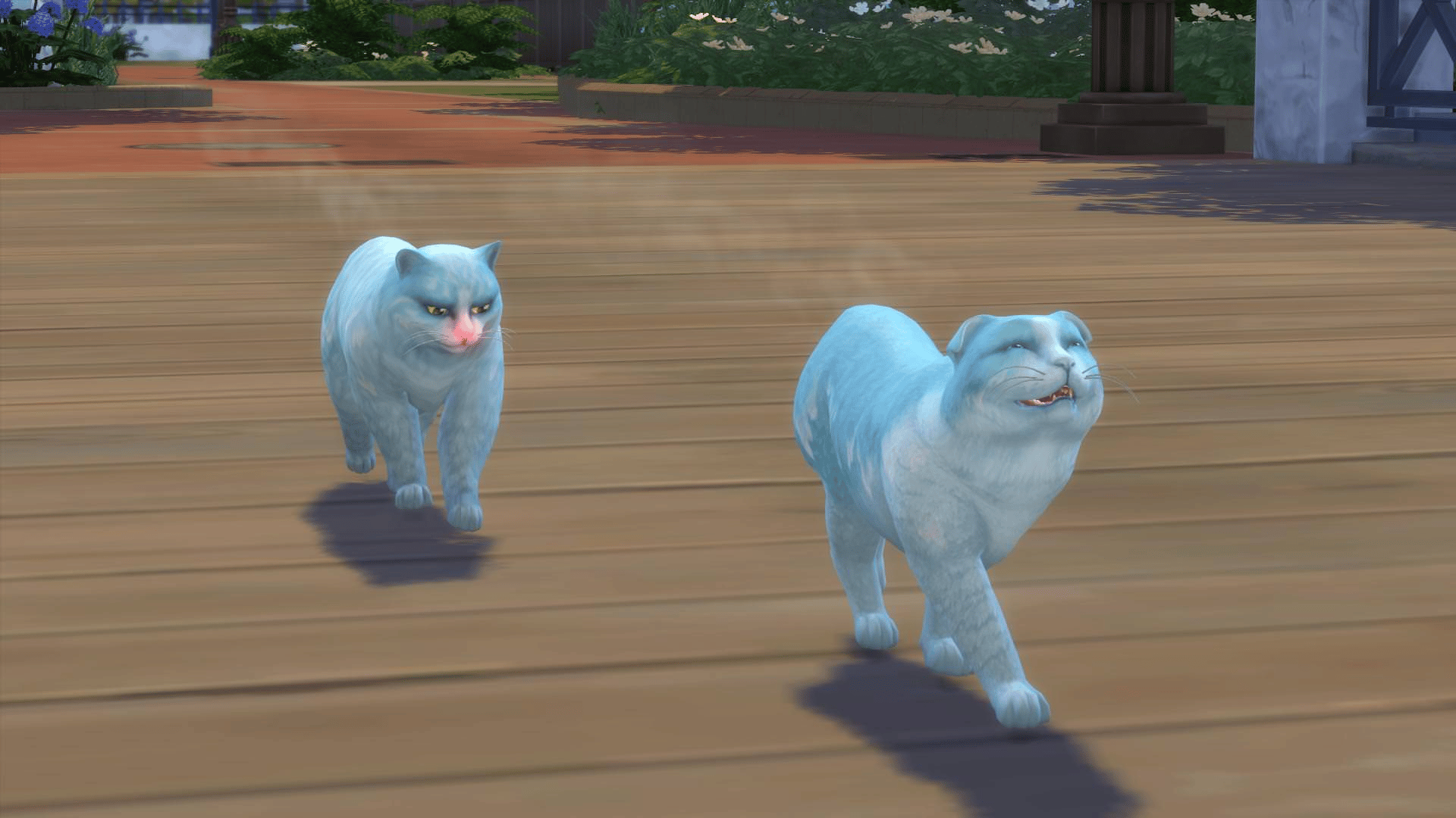 How to Adopt a Stray in The Sims 4