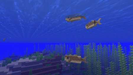 What Do Dolphins Eat in Minecraft? ( & How to Feed Them)
