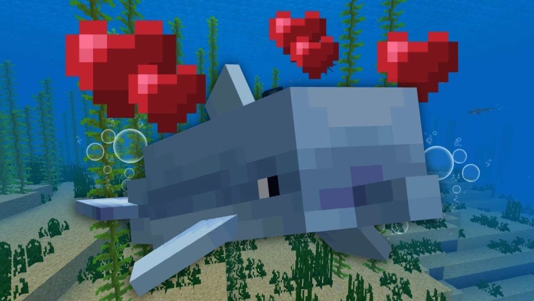 What Do Dolphins Eat in Minecraft? ( & How to Feed Them)