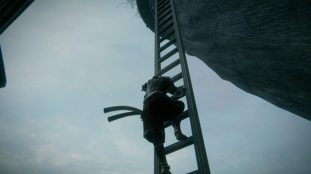 How to Climb in Elden Ring (Climbing Trees, Ladders, etc)