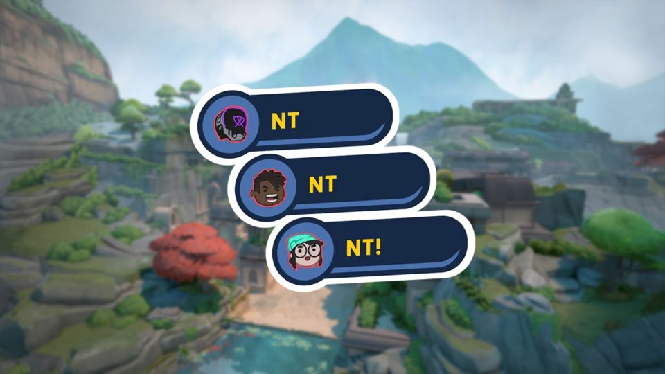 What Does "nt" Mean in Valorant?